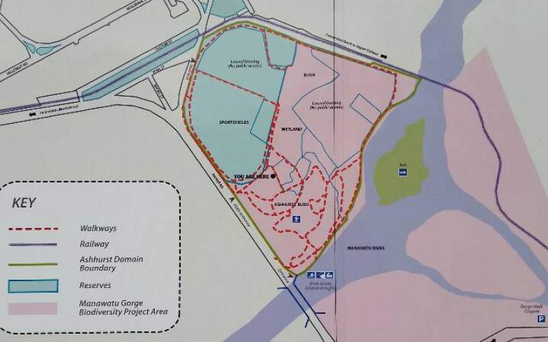 Ashhurst Domain Campground | Freedom/Basic Camp | New Zealand